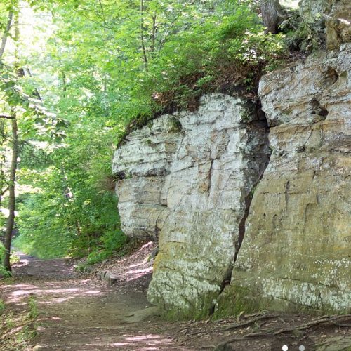 Michigan Geological Survey